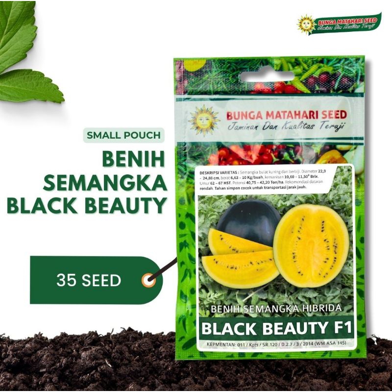 Jual MATAHARI SEED - Benih Semangka F1 Hibrida (Semangka Black Beauty ...
