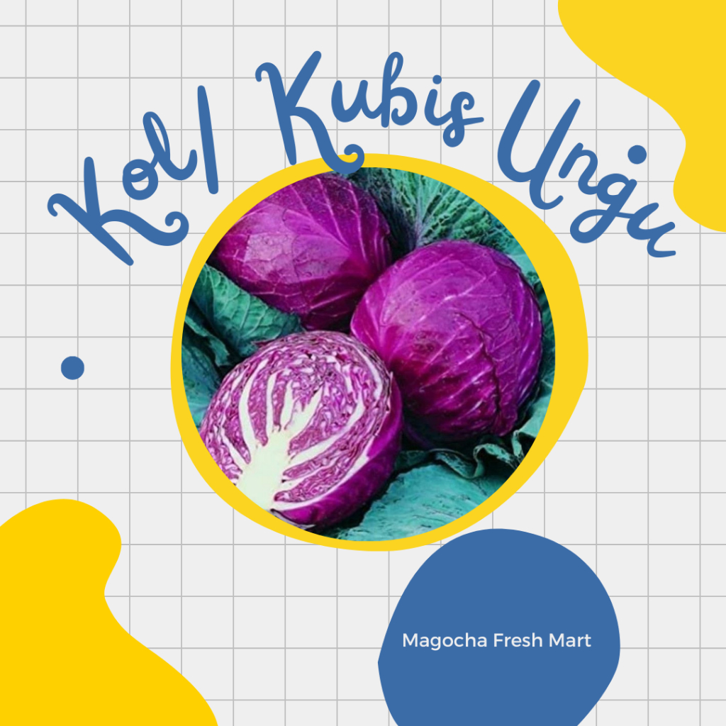 Jual Kubis Ungu/Kol Ungu Fresh | Shopee Indonesia