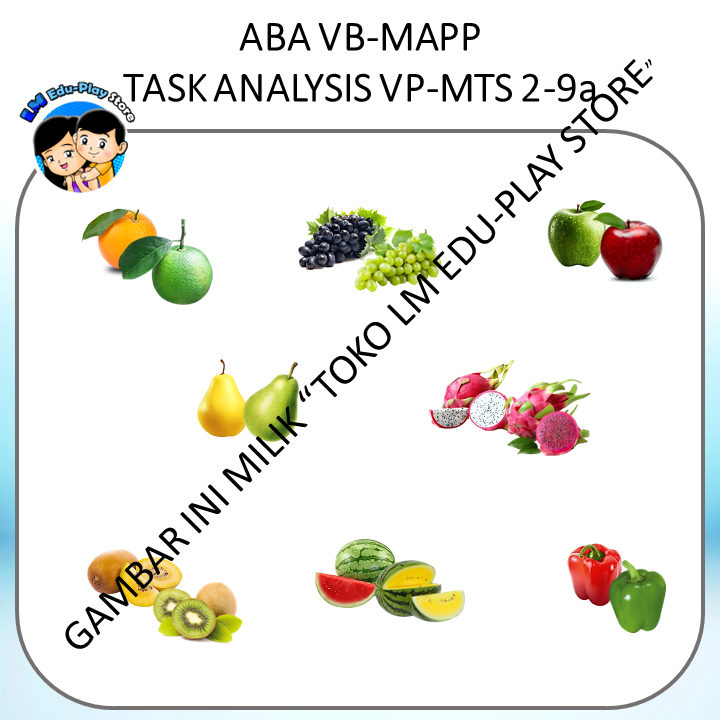 Jual Kartu ABA VB-MAPP Task Analysis VP-MTS 2 (9a) | Shopee Indonesia