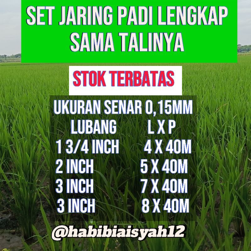 Jual SET JARING PADI LENGKAP SAMA TALINYA UKURAN SENAR 0,15MM | Shopee ...
