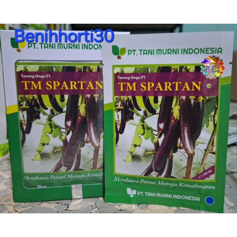 Jual Benih Terong Ungu TM SPARTAN F1 isi 1100 butir | Shopee Indonesia