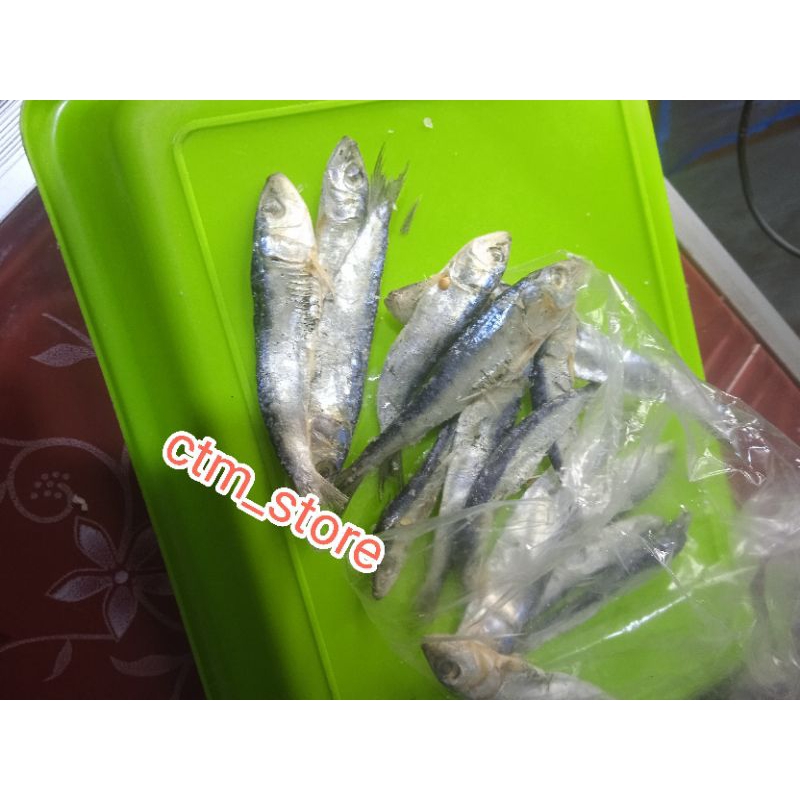 Jual ikan asin tanjan/tembang 1kg | Shopee Indonesia