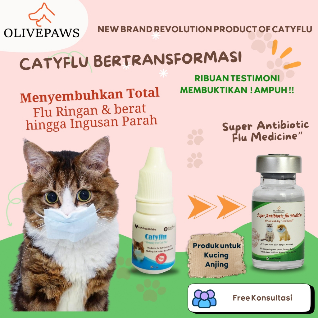 Jual CATYFLU ORAL LIQUID Obat Flu Demam Pilek & Batuk Kucing Anjing ...