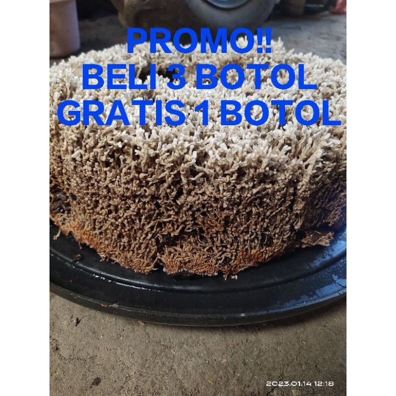 Jual SPORA | BIANG JAMUR JAKABA 250ml PUPUK ORGANIK | Shopee Indonesia