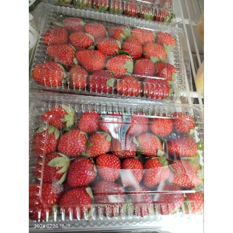 Jual Stroberi Buah Fresh Panen 200gr / pack Buah StrawBerry Segar Byk ...
