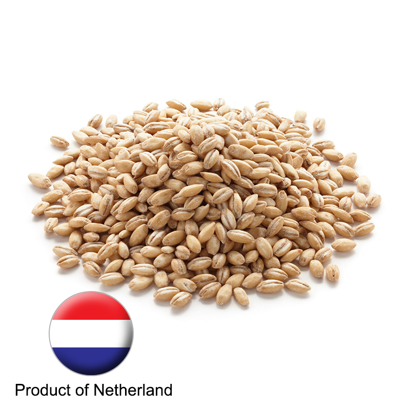 Jual Biji Pearl Jalijali Barley Jali Hanjeli Anjeli Mpasi Natural ...