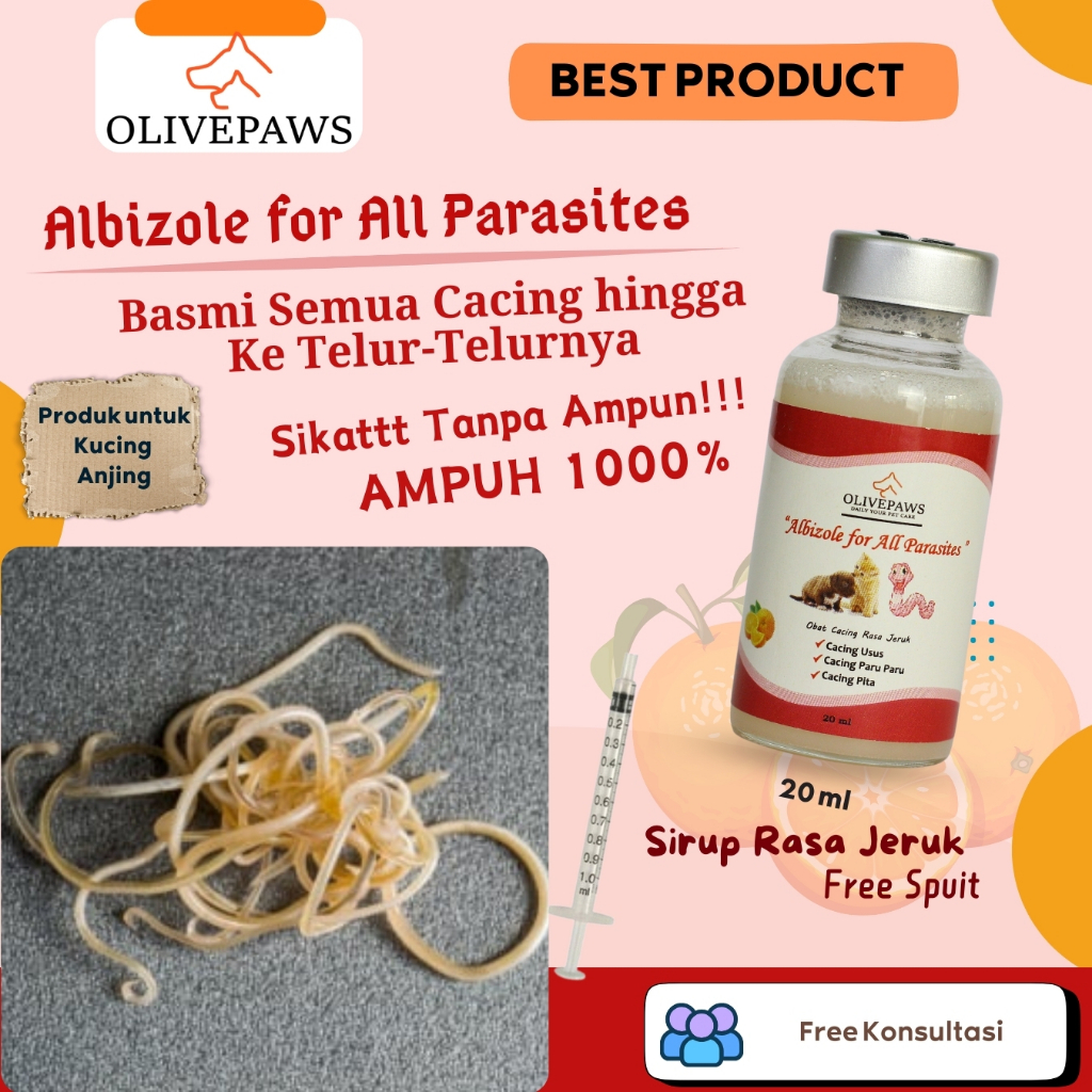 Jual ALBIZOLE Obat Cacing Kucing Anjing Hamster Kelinci Rasa Jeruk ...