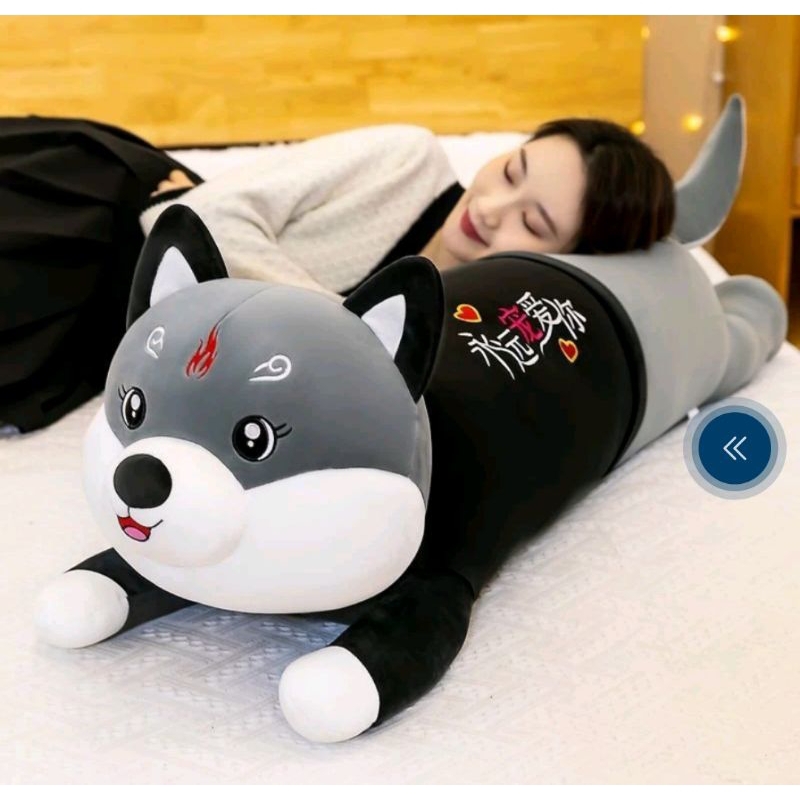 Jual Bantal Guling kucing Lying Jumbo 100cm Bahan plush premium SNI ...