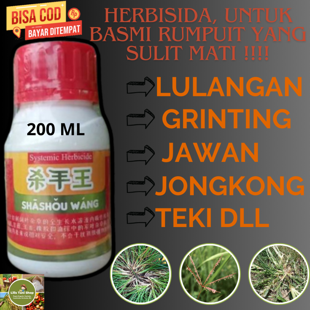 Jual Shashouwang Merah Pembasmi Rumput Liar Herbisida Sistemik Selektif ...