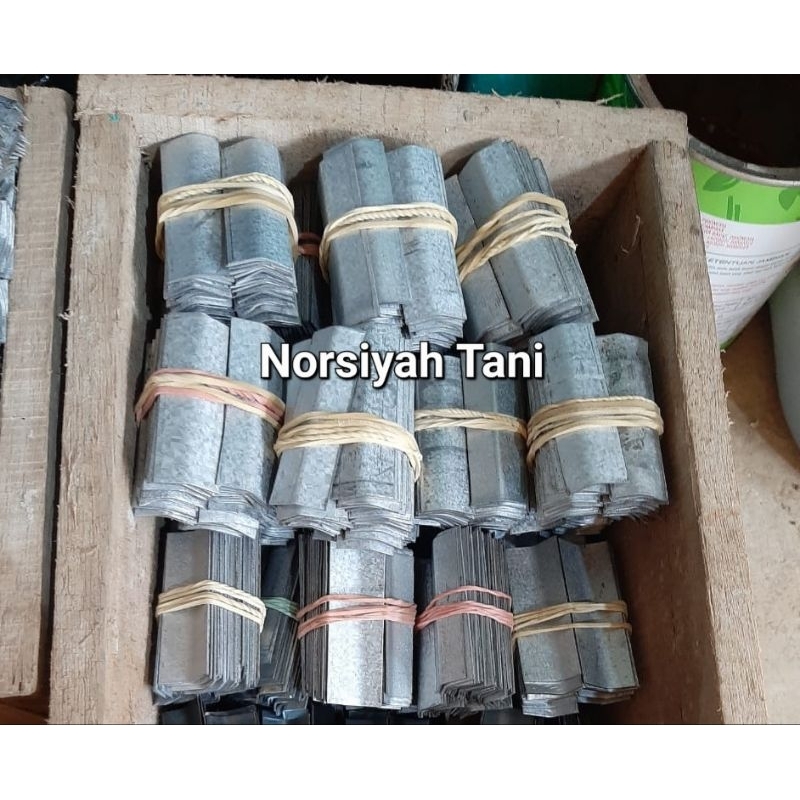 Jual SESUDU GETAH / TALANG GETAH / TALANG KARETT ISI 40PCS | Shopee ...