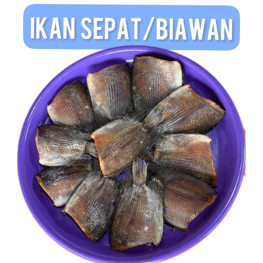 Jual Ikan Asin Sepat (Biawan) 100 Gram - Rasa Gurih dan Asin Yang Pas ...
