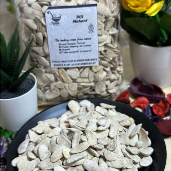 Jual Biji Mahoni Kupas Bersih 500 Gram - Rempah Bu Risma | Shopee Indonesia