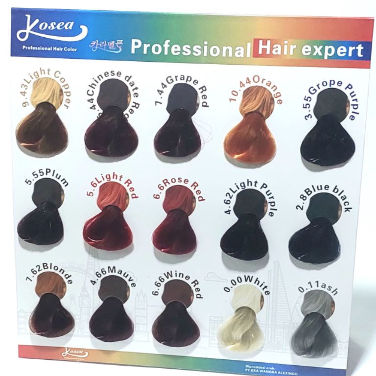 Jual Model Baru Kosea Katalog Cat Rambut LEMBARAN BUKU | Shopee Indonesia