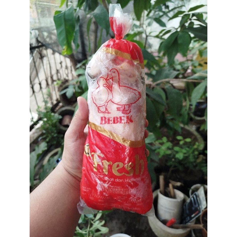 Jual Fresh Bebek Beku (Duck Frozen) Kemasan 1,2kg | Shopee Indonesia