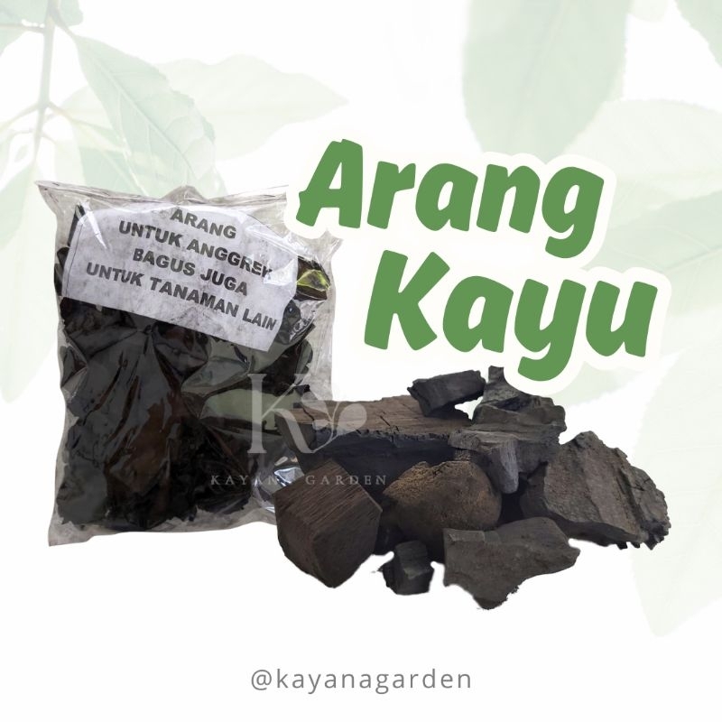 Jual Media Tanam Arang Kayu Media Tanam Anggrek Siap Pakai | Shopee ...