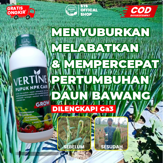 Jual Vertine Grow Pupuk Pelebat Daun Bawang - Penyubur Daun Bawang Dan Penambah Tunas Baru Anti ...