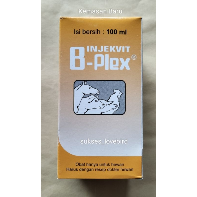 Jual Injeksi Vitamin B-PLEX 100ml | Shopee Indonesia
