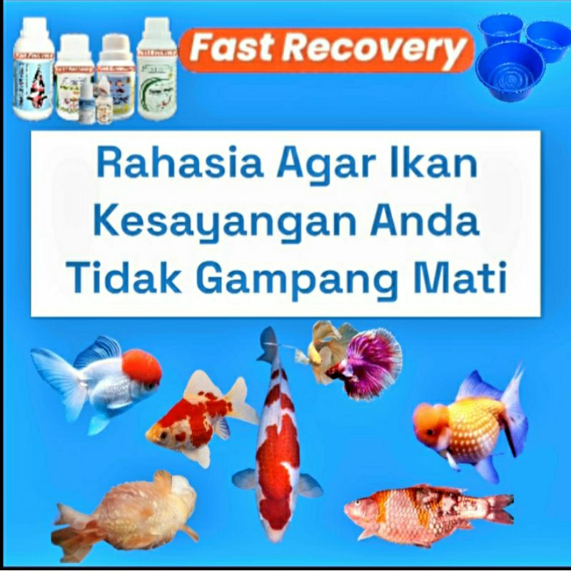 Jual OBAT IKAN HIAS CUPANG/KOI/TAMASABA/KOKI/ ANTI VIRUS & BAKTERI FAST ...