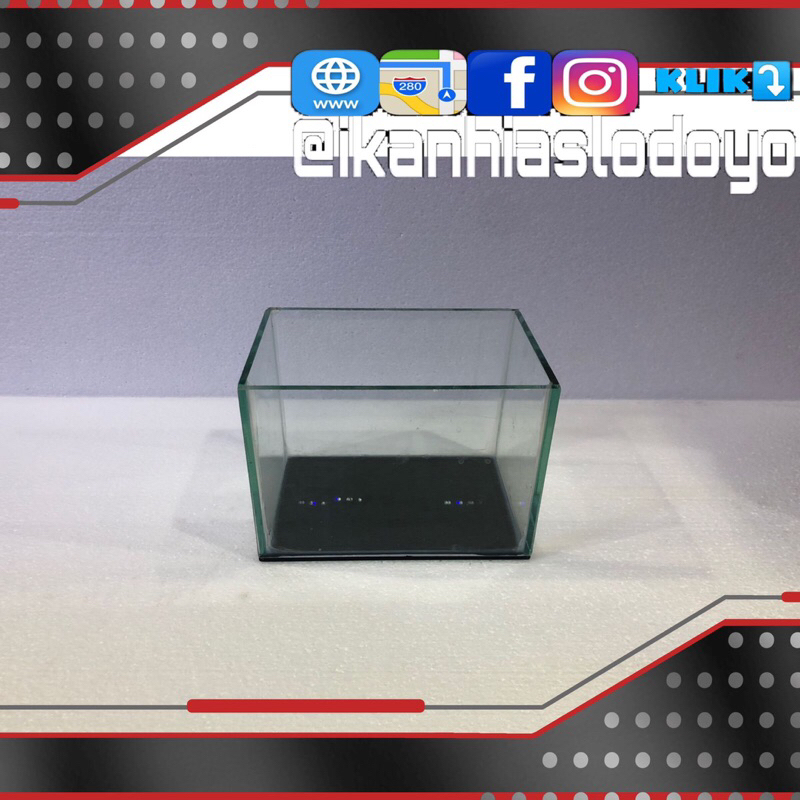 Jual aquarium ikan chana, aquarium ikan upang, aquarium minimalis ...