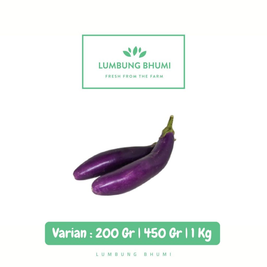 Jual Terong Ungu Sayur - Lumbung Bhumi | Shopee Indonesia