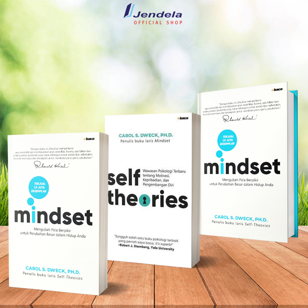 Jual Buku Motivasi Mindset Self Theories Mengubah Pola Berfikir Untuk ...