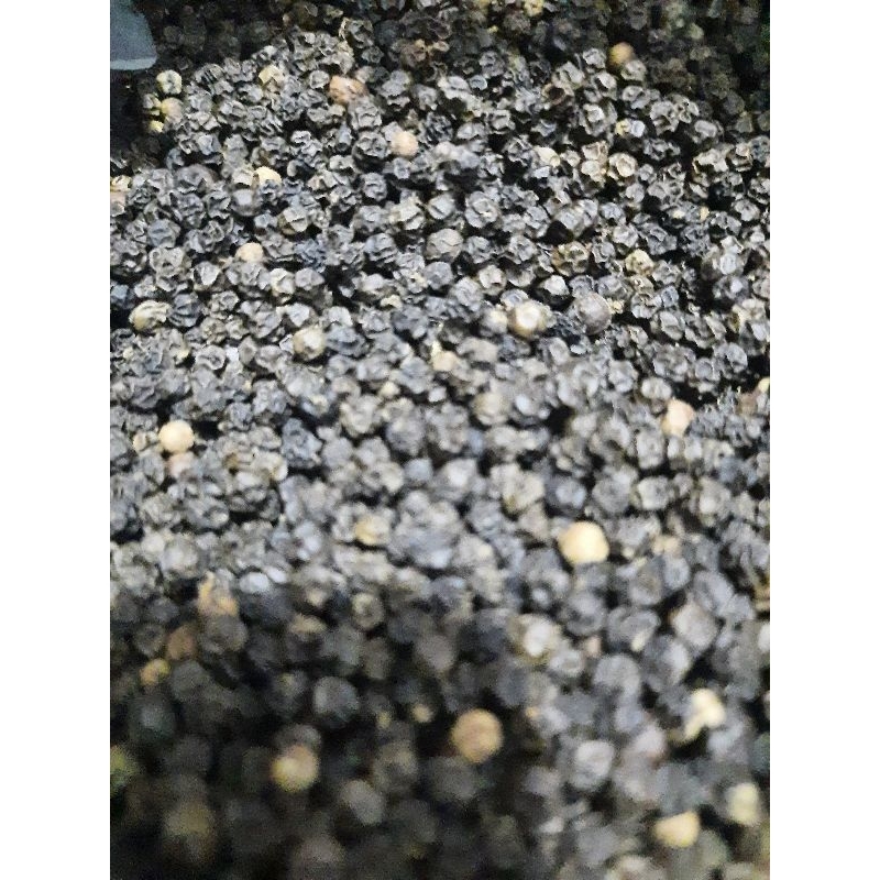 Jual biji lada hitam, Merica Original 1kg fresh | Shopee Indonesia
