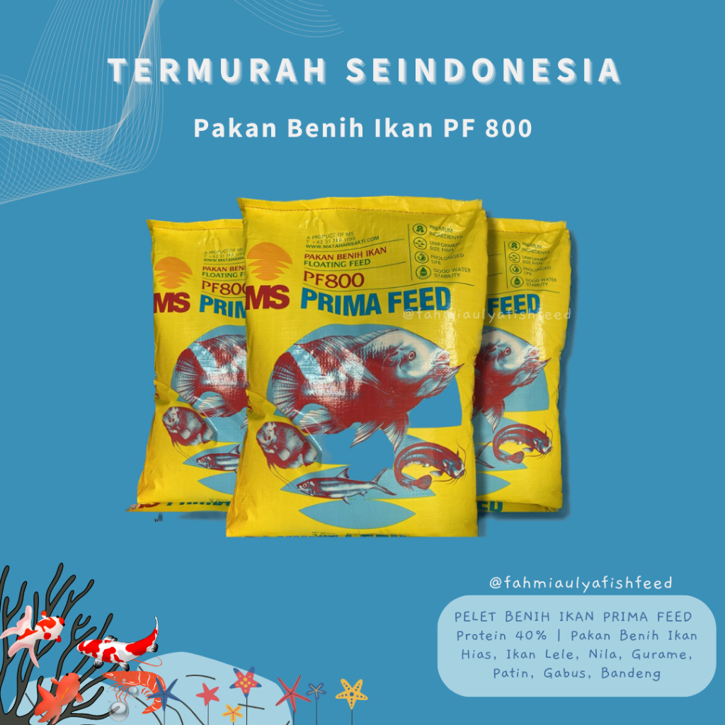 Jual PAKET 2 KG PAKAN BENIH IKAN PF 800 | MS PRIMA FEED Protein 40% ...