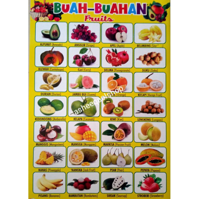 Jual Poster EDUKASI MURAH..!! FRUIT-BUAH BUAHAN (BILINGUAL) | Shopee ...
