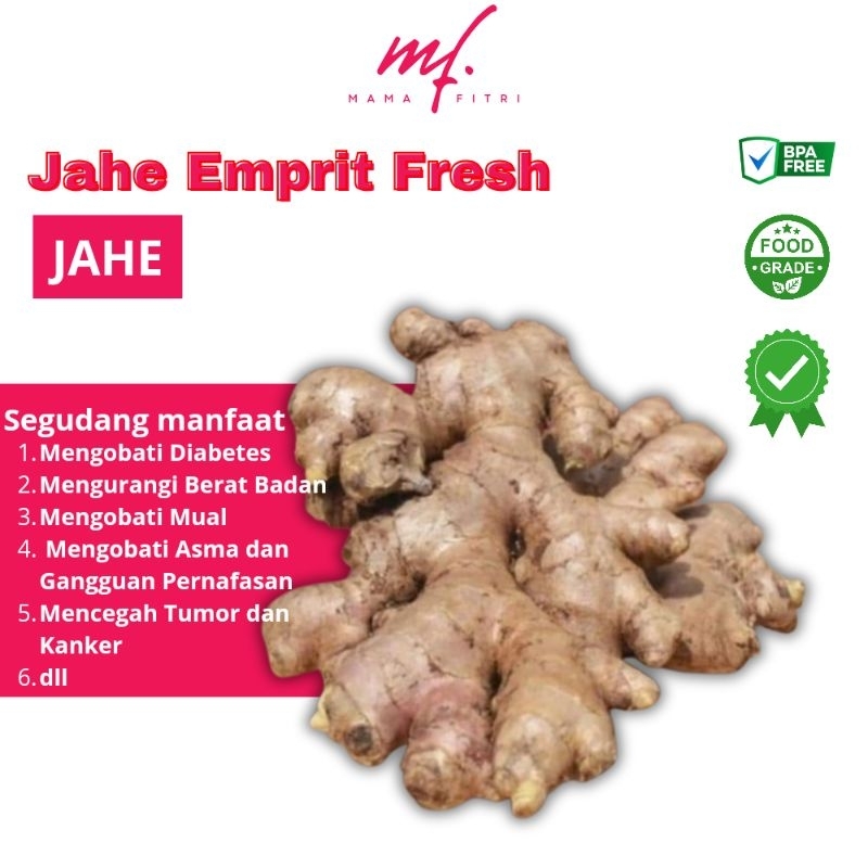 Jual JAHE EMPRIT SEGAR MAMA FITRI 1KG JAHE PUTIH ORGANIK | Shopee Indonesia