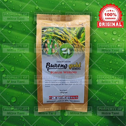 Jual BURENG GOLD 80 WDG Insektisida Pembasmi Wereng Original 100 Gram ...