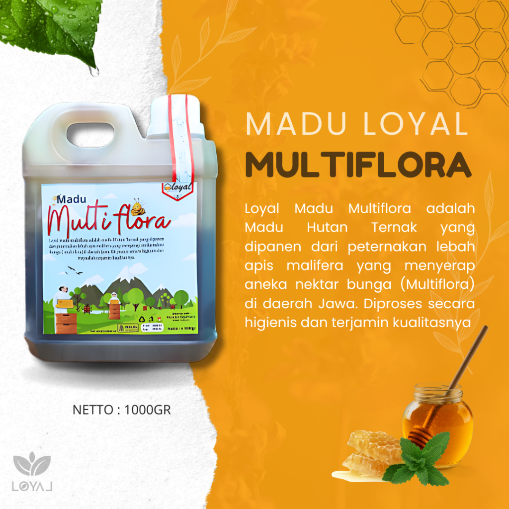 Jual Loyal Madu Multiflora - Madu Hutan Asli 1kg | Shopee Indonesia