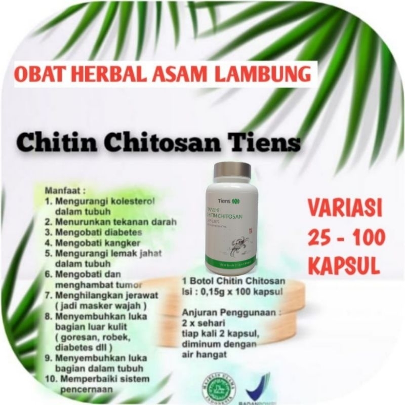 Jual Tiens Chitin Chitosan Obat Maag Herbal Asam Lambung Gerd Anxiety ...