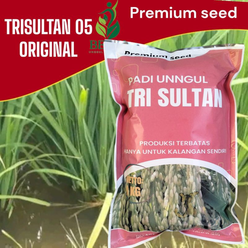 Jual Benih padi Tri Sultan Premium Kemasan 1kg | Shopee Indonesia