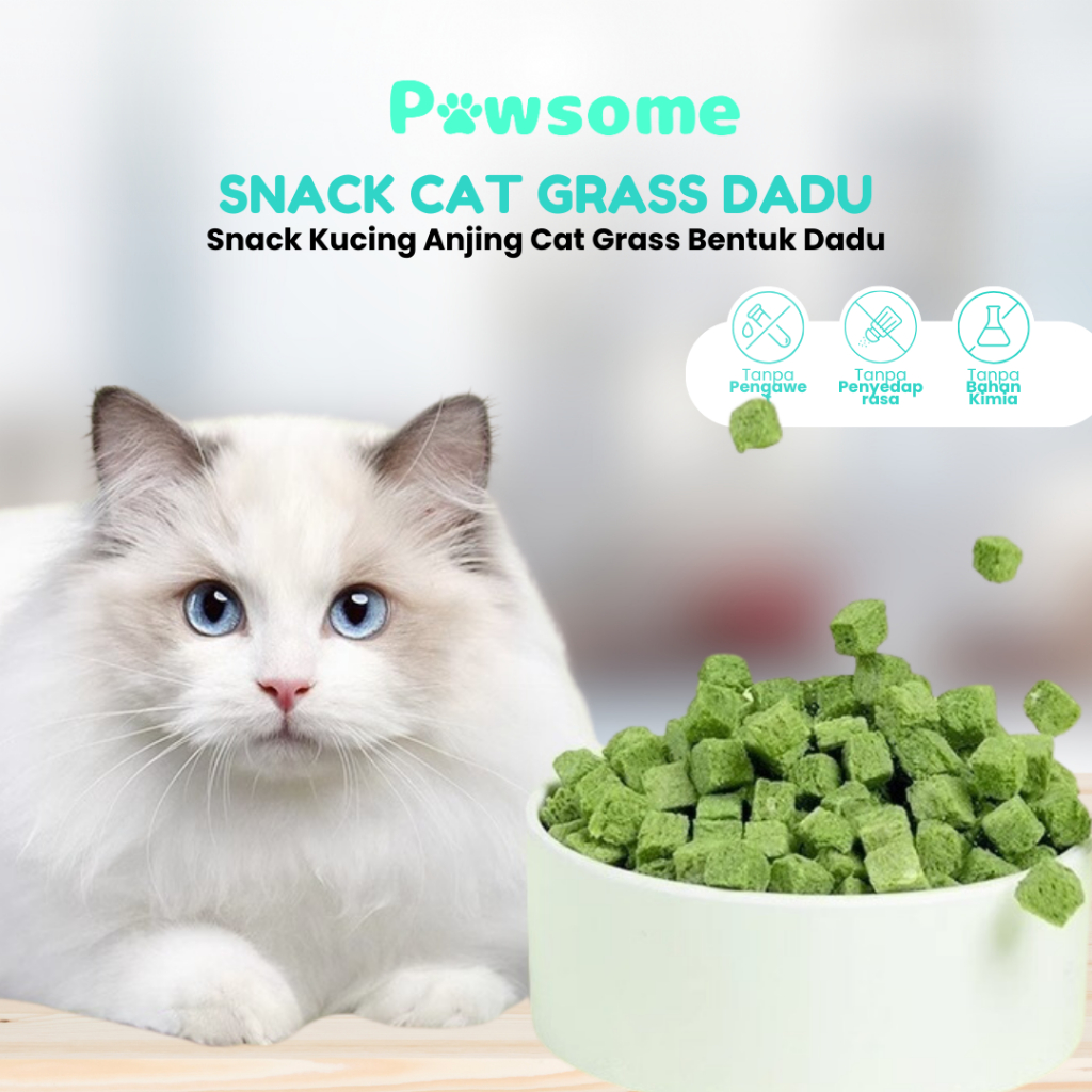 Jual Cat Grass Stick - Snack Rumput Kucing - Cat Grass Premium Grass ...