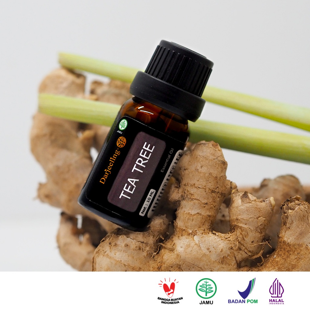 Jual Darjeeling Tea Tree Essential Oil / Minyak Tea Tree Aromaterapi ...