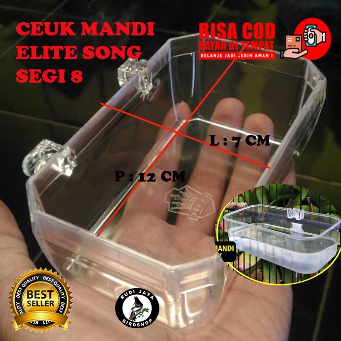 Jual KODE A58I CEPUK MANDI KENARI SEGI 8 BESAR ELITE SONG 1 PAK ISI 2 ...