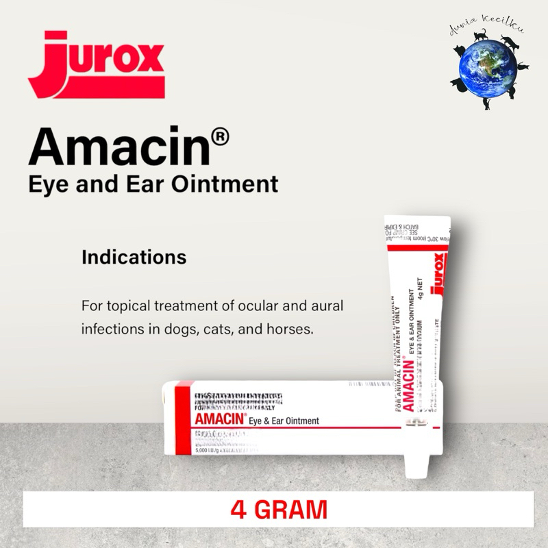 Jual Amacin Eye & Ear Ointment Antibacterial / Anti Radang / Infeksi ...