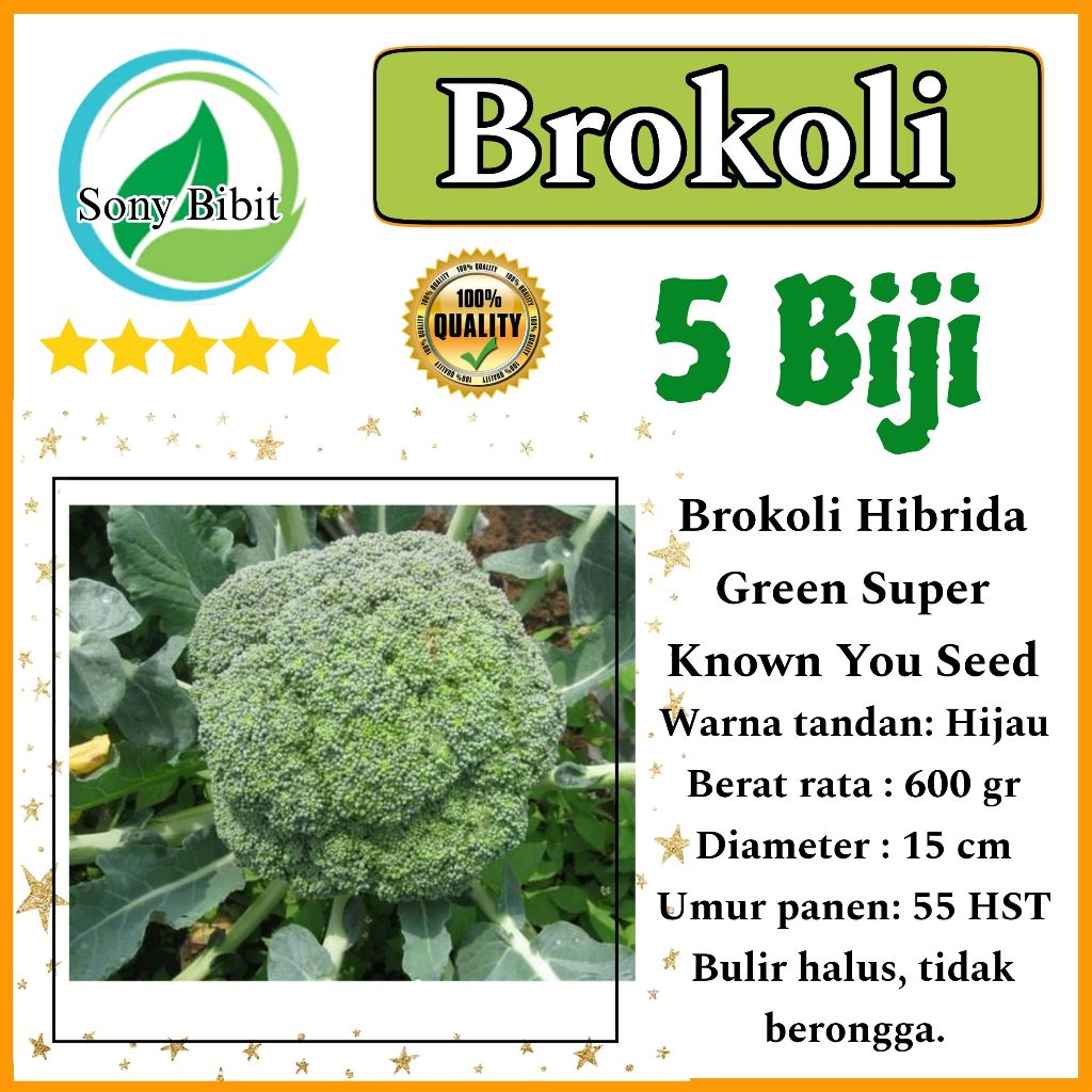Jual 5 Benih Brokoli Hijau GREEN MAGIC Benih Ekonomis | Shopee Indonesia