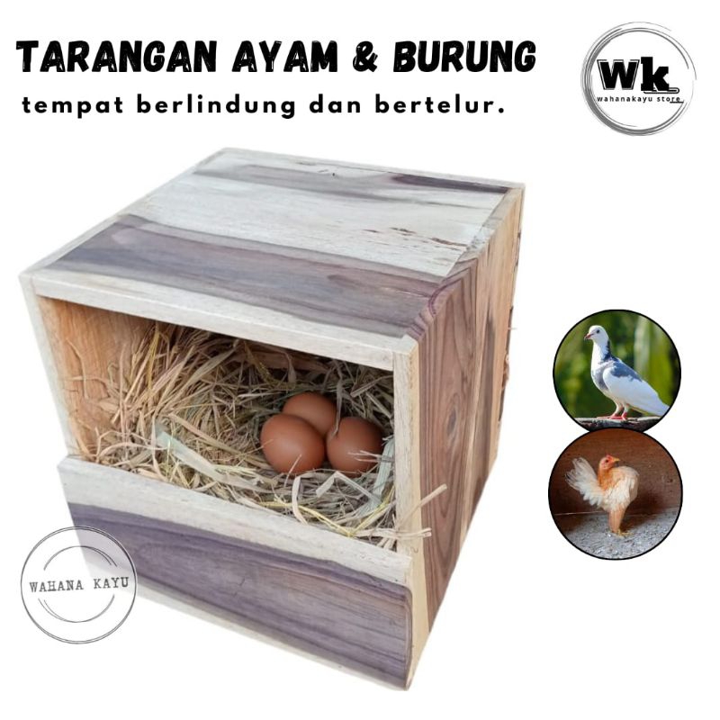 Jual TARANGAN AYAM DAN BURUNG | TEMPAT BERTELUR AYAM SERAMA /GUPON ...