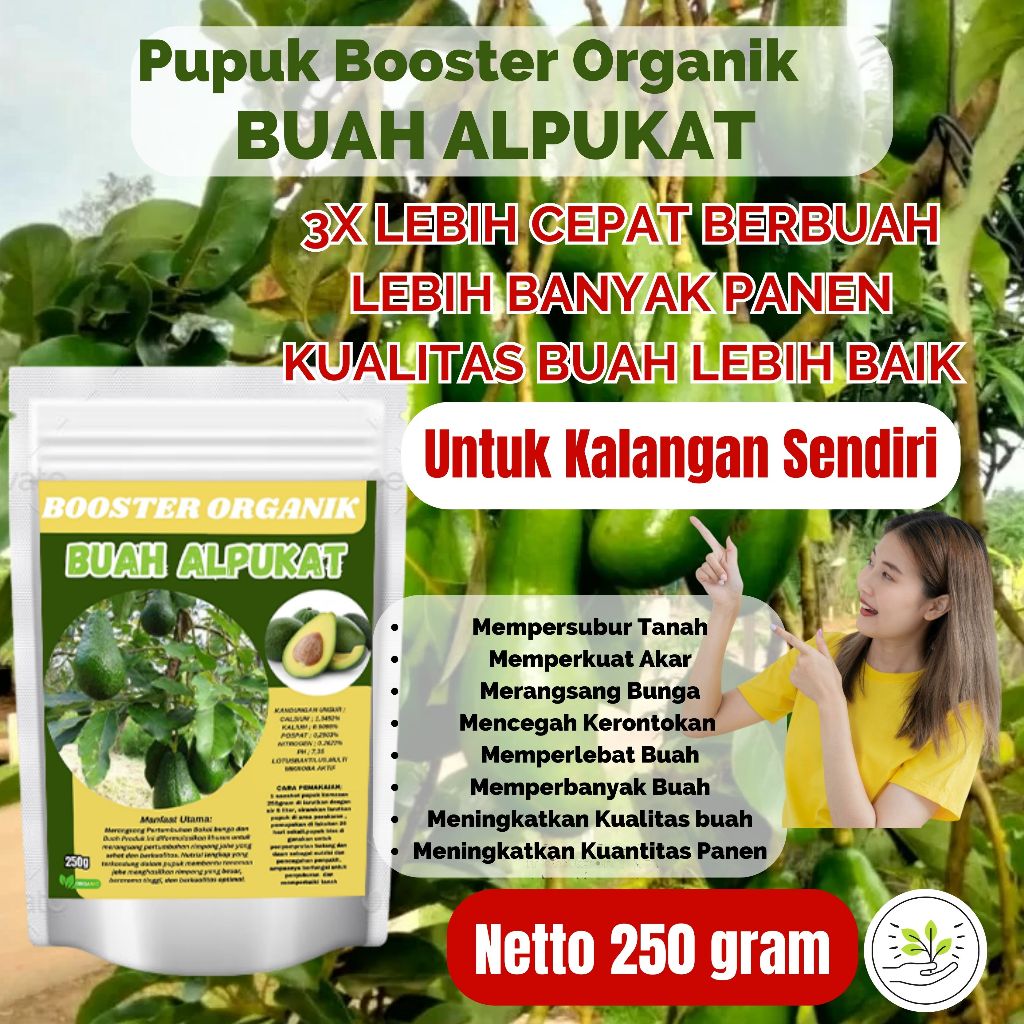 Jual PUPUK BOOSTER BUAH ALPUKAT PUPUK PERANGSANG BUAH MELEBATKAN DAN MEMPERCEPAT PERTUMBUHAN ...
