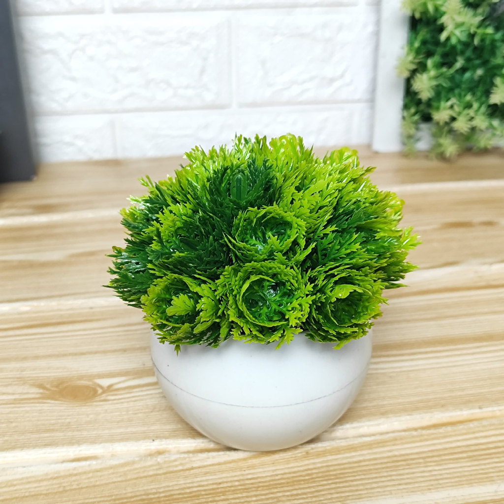 Jual UNICO Pot Bunga Plastik Hias Mini Import Termurah Bunga Rumput ...