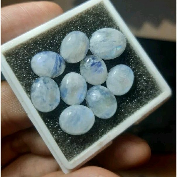 Jual Batu akik biduri laut natural ukuran minion | Shopee Indonesia