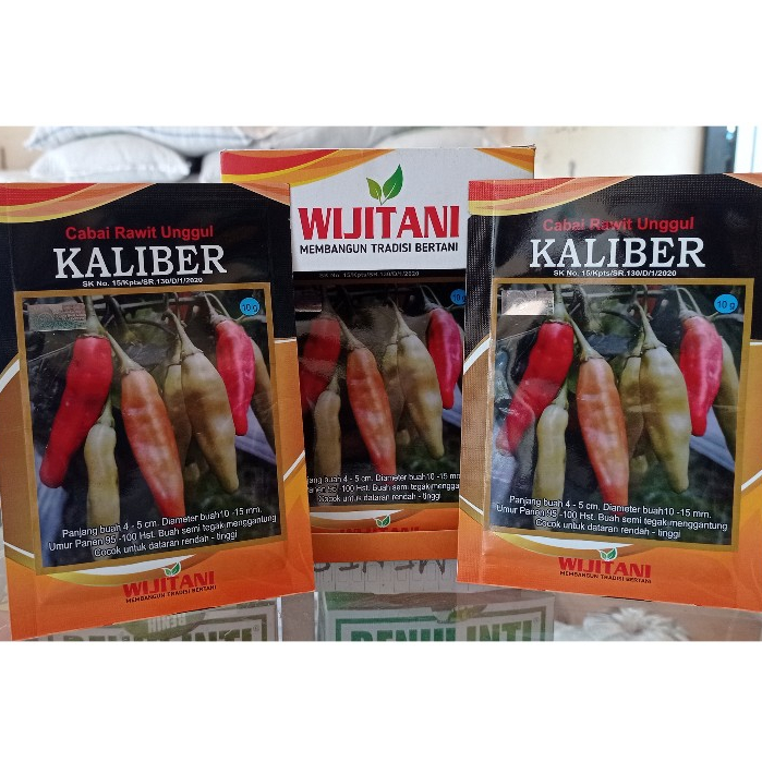 Jual Benih cabe KALIBER 10gram, benih cabai rawit unggul kaliber ... Jual Benih cabe KALIBER 10gram, benih cabai rawit unggul kaliber ...