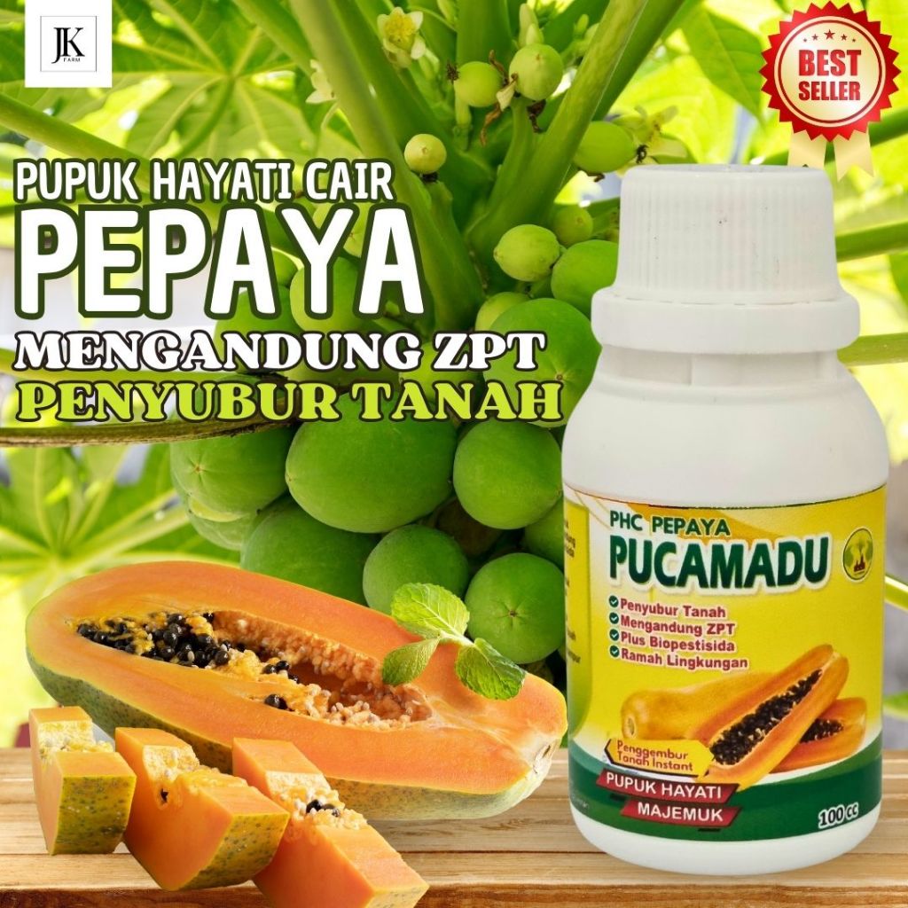 Jual Pupuk Hayati Cair Pelebat Buah Pepaya Organik dan Booster Pepaya Agar Cepat Berbuah Lebat ...