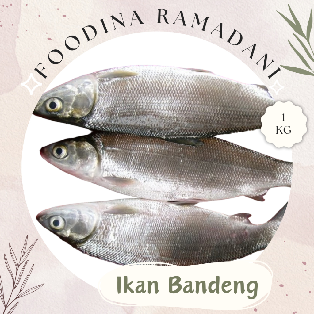 Jual IKAN Bandeng - Milkfish Fresh [ Berat 1.000gr ] Harga Per KG ...
