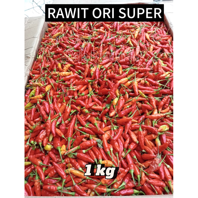 Jual Cabe Rawit Merah Ori super 1 kg | Shopee Indonesia