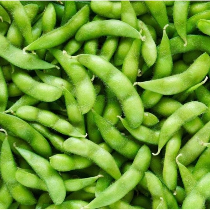 Jual Edamame Fresh 1 kg | Shopee Indonesia