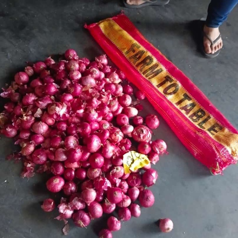 Jual bawang merah India 1kg | Shopee Indonesia