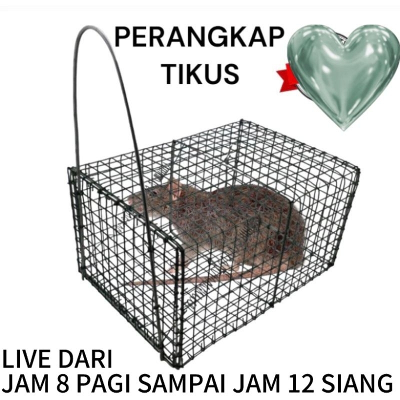 Jual JEBAKAN TIKUS /PERANGKAP TIKUS MASSAL | Shopee Indonesia