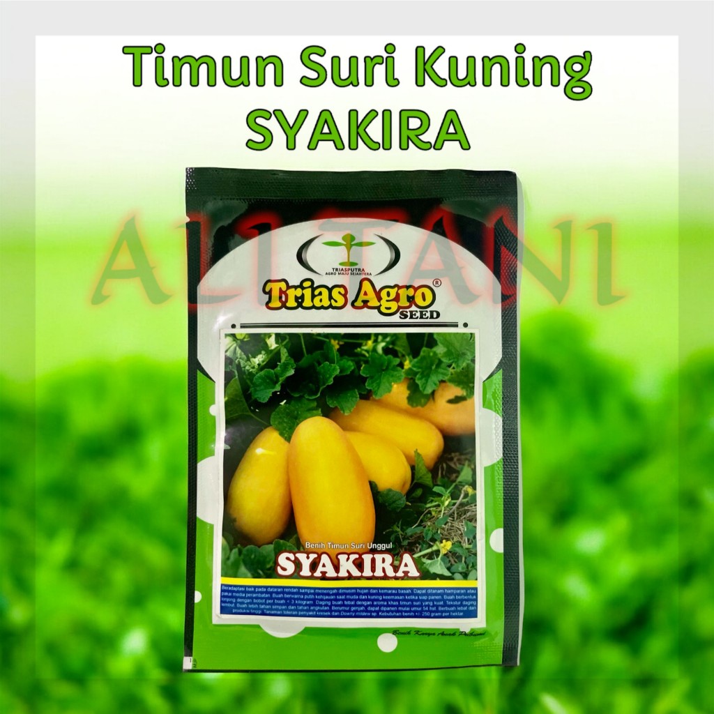 Jual SYAKIRA Kemasan 10 GR Benih/Bibit Timun Suri/Blewa/Blewah Kuning | Shopee Indonesia